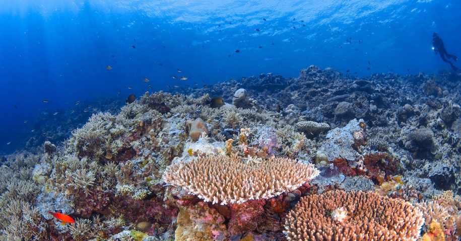 Travelling to Boracay: The Must-Read Guide Before You Go